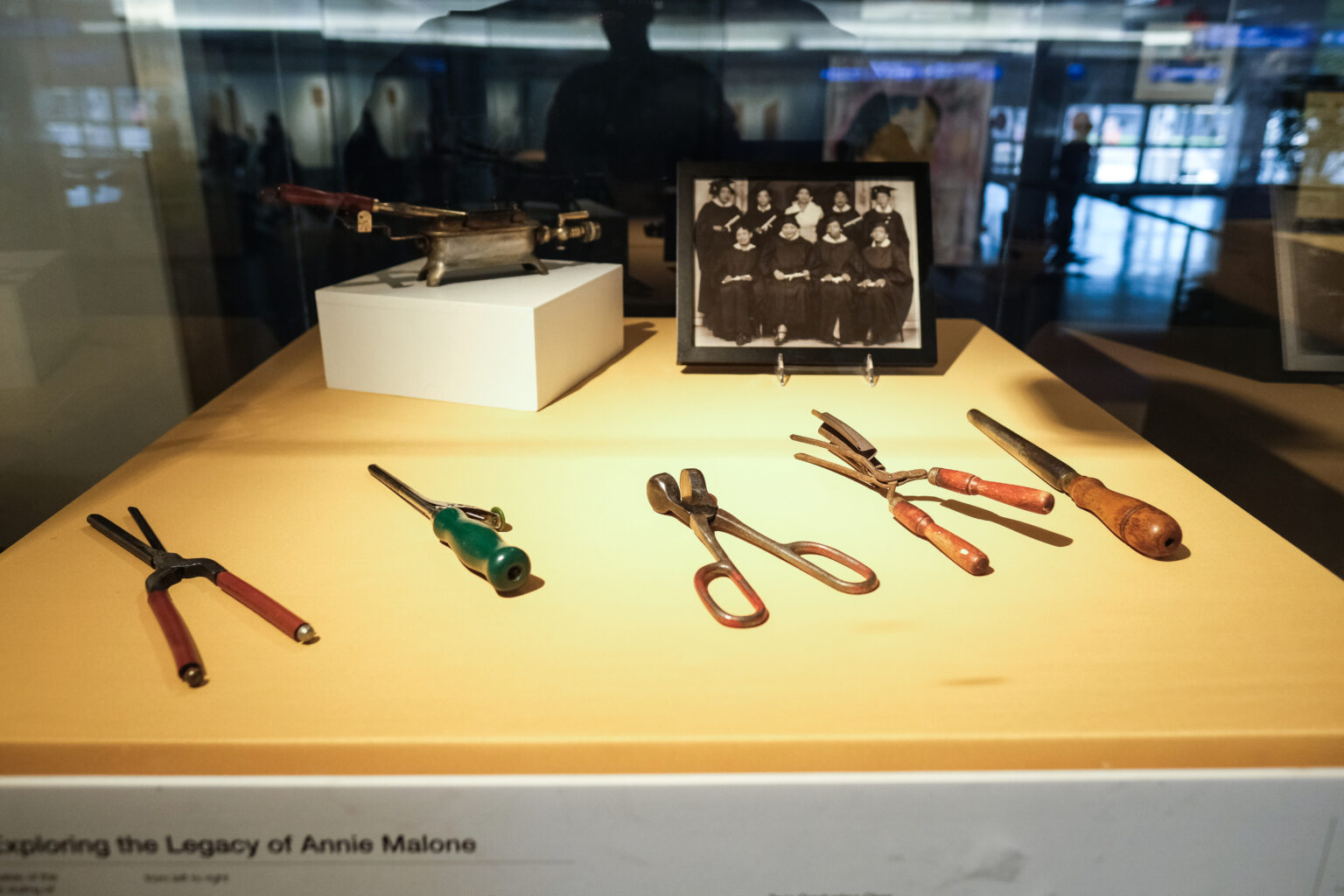 Moving Forward: Exploring the Legacy of Annie Malone - St. Louis ...